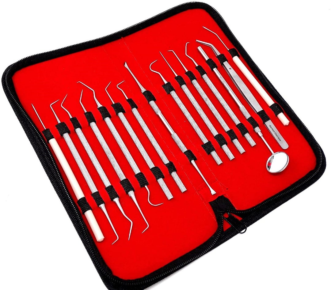 Dental Hygenist Gift Set for Dentistry Graduates 15-piece Stainless ...