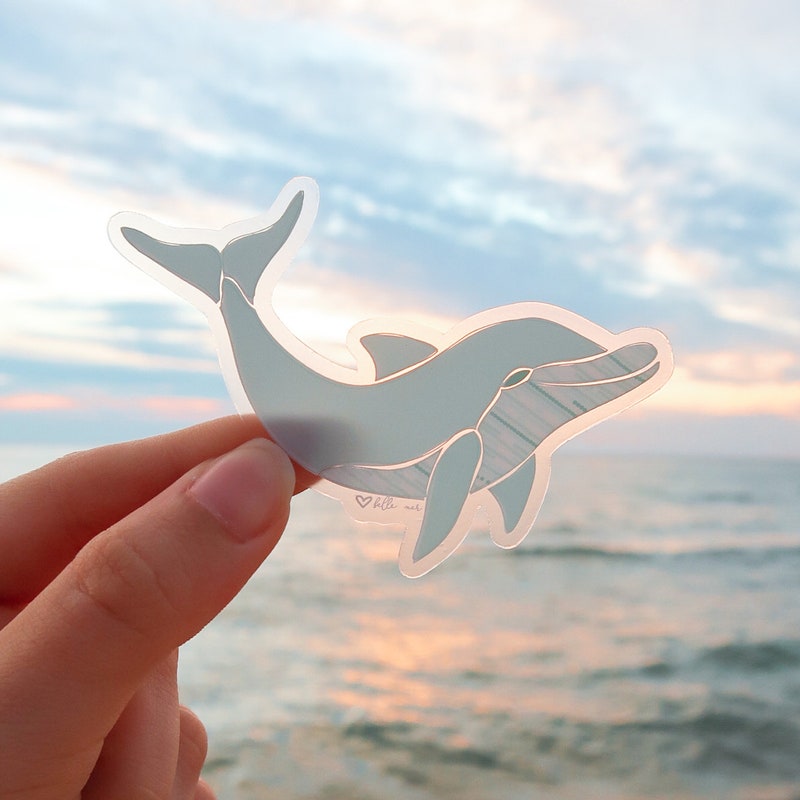 Dolphin Sticker - Etsy
