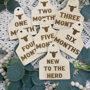 Personalized Cow Head Hospital Sign | Baby Name Announcement| Cow Theme ...
