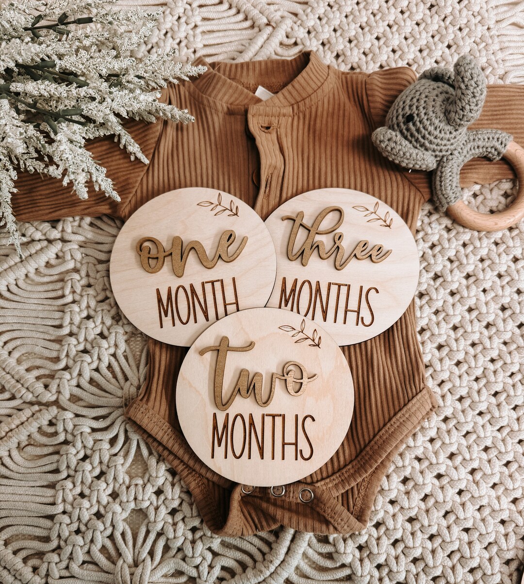 3-D Milestone Markers | Painted Milestones | Newborn Photos| Monthly ...