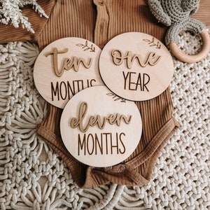 3-D Milestone Markers | Painted Milestones | Newborn Photos| Monthly ...