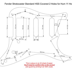 Stratocaster Professional II Pickguard HSS Strat Pickguard PAISLEY Aged ...