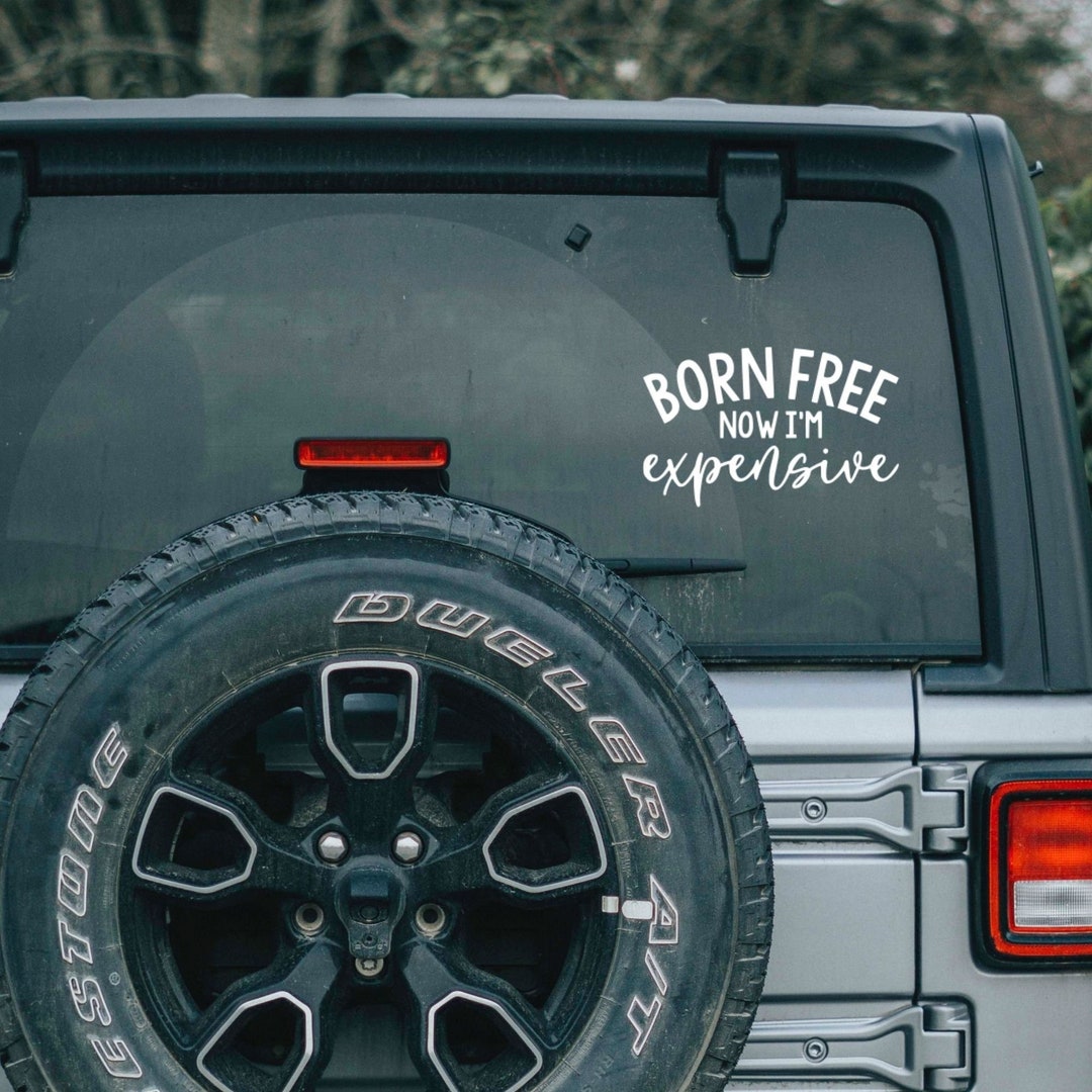 Born Free Now I'm Expensive Bumper Sticker Vinyl Decal, Car Sticker ...