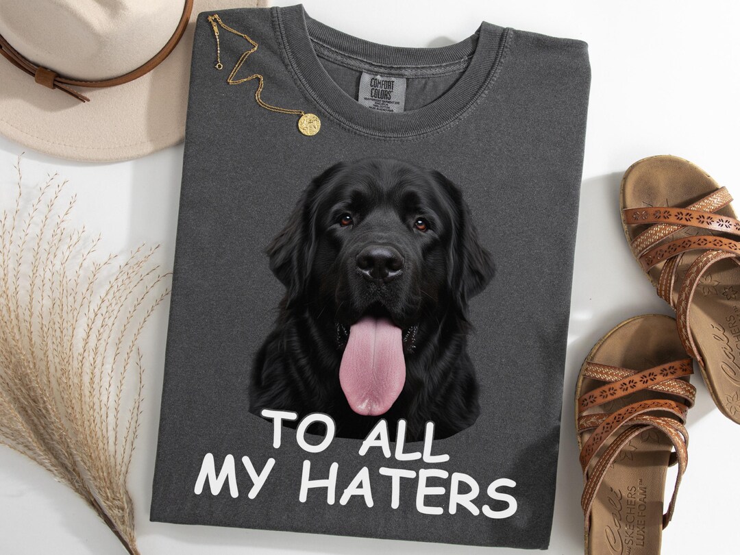 Newfoundland to All My Haters Shirt, Funny Newfie Meme Tee, Dog Lover ...