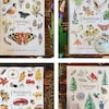 Tree Nature Study BUNDLE - Charlotte Mason, Unit Study - Etsy