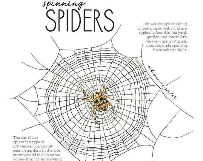 Spinning Spiders Nature Journaling Mini Pack Homeschool - Etsy