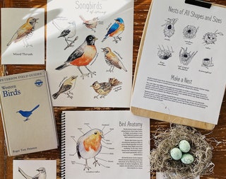 RaisingUpWildThings - Etsy