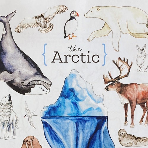 Arctic Ocean Mini Unit Charlotte Mason Nature Study - Etsy