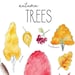 Tree Nature Study BUNDLE Charlotte Mason, Unit Study - Etsy