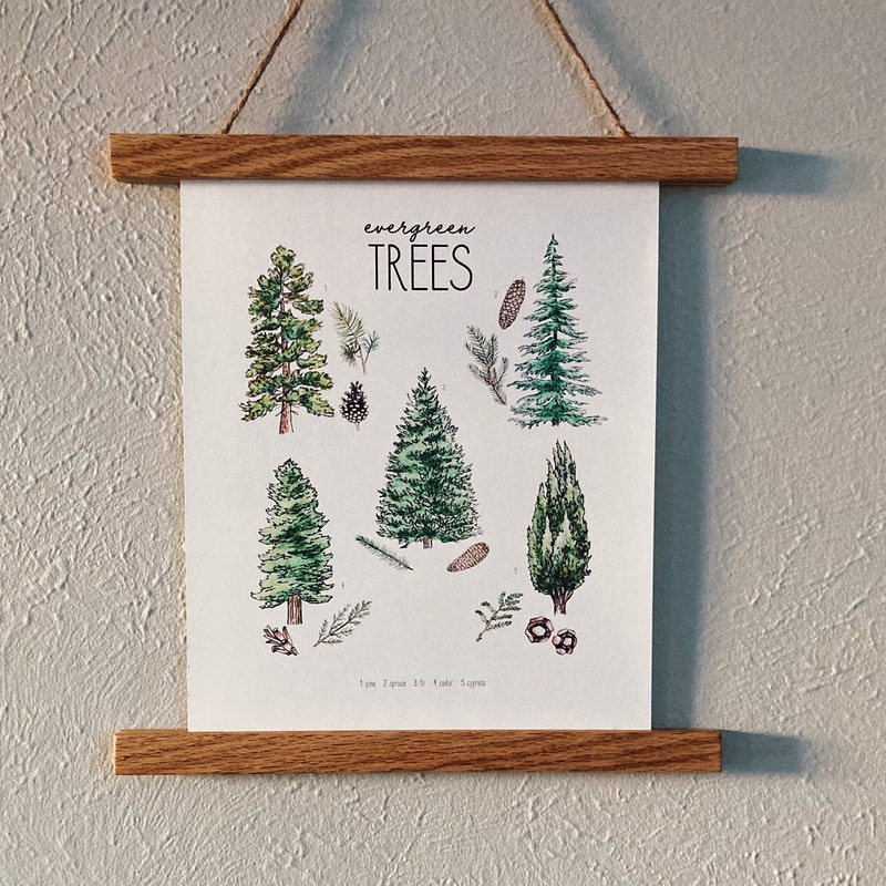 Evergreen Tree - Etsy