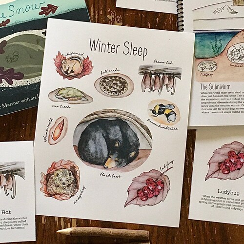 The POND Homeschool Printable Nature Study Charlotte Mason - Etsy