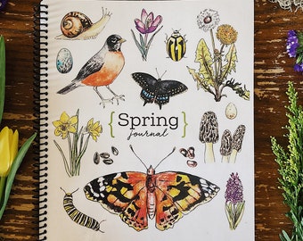 The POND Homeschool Printable Nature Study Charlotte Mason Frog Turtle ...