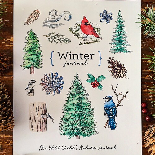 SUMMER Journal Homeschool Printable Charlotte Mason Nature - Etsy