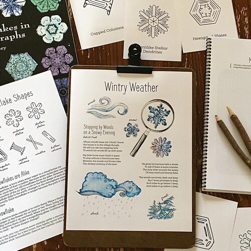 SUMMER Journal Homeschool Printable Charlotte Mason Nature - Etsy