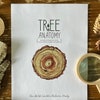 Tree Nature Study BUNDLE - Charlotte Mason, Unit Study - Etsy