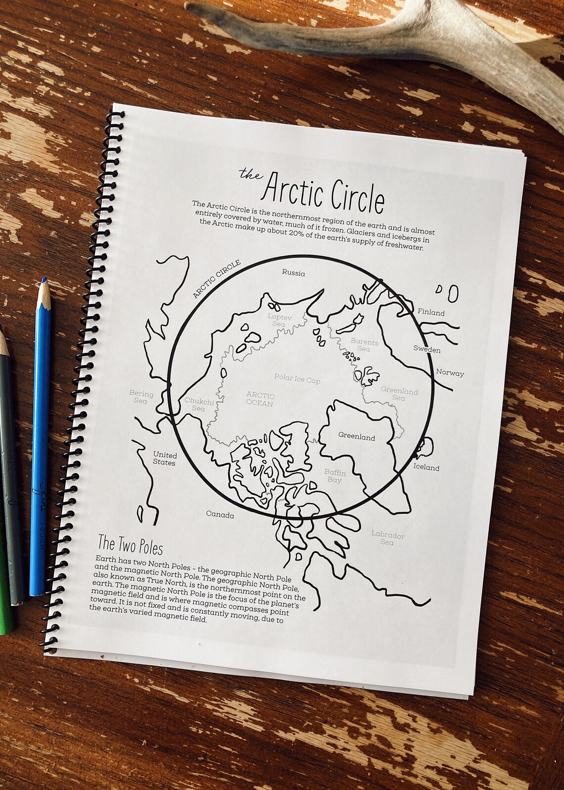 The Arctic Journal - Polar Unit Study, Arctic Animals, Nature Study ...