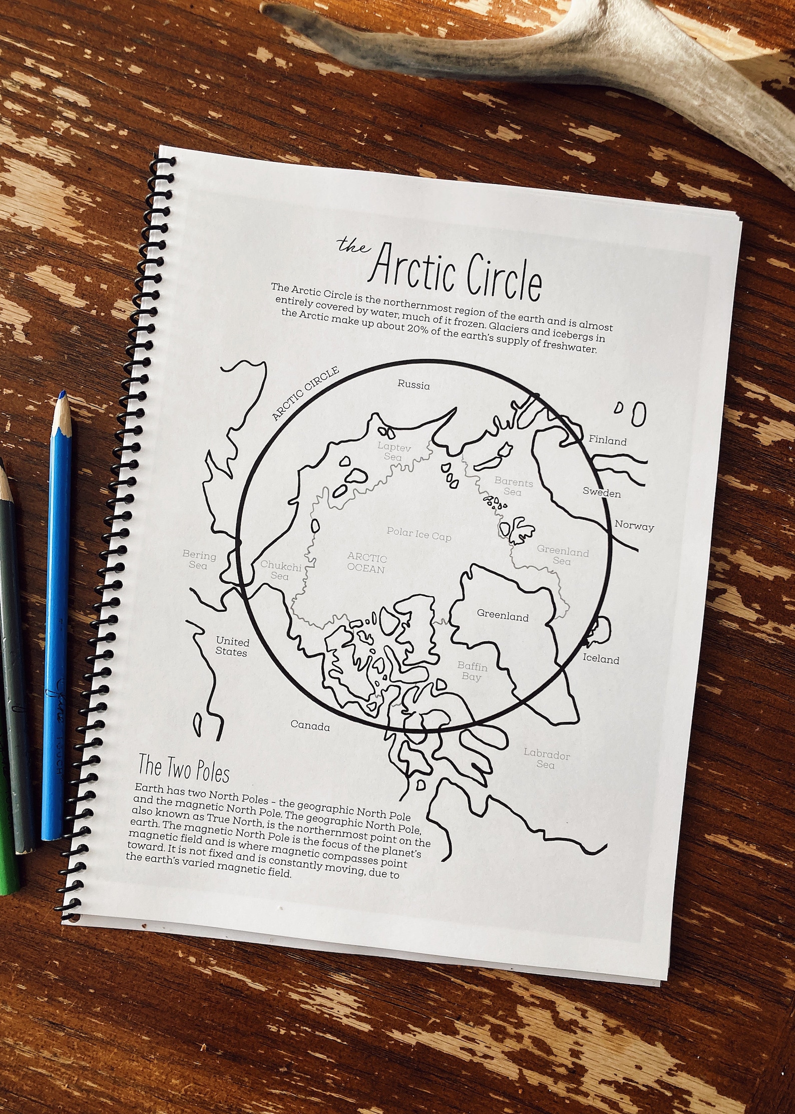 The Arctic Journal - Polar Unit Study, Arctic Animals, Nature Study ...