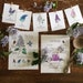 Spring Learning Bundle - Unit Study, Nature Study, Charlotte Mason - Etsy