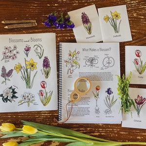 Spring Learning Bundle - Unit Study, Nature Study, Charlotte Mason - Etsy