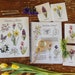 Spring Learning Bundle - Unit Study, Nature Study, Charlotte Mason - Etsy