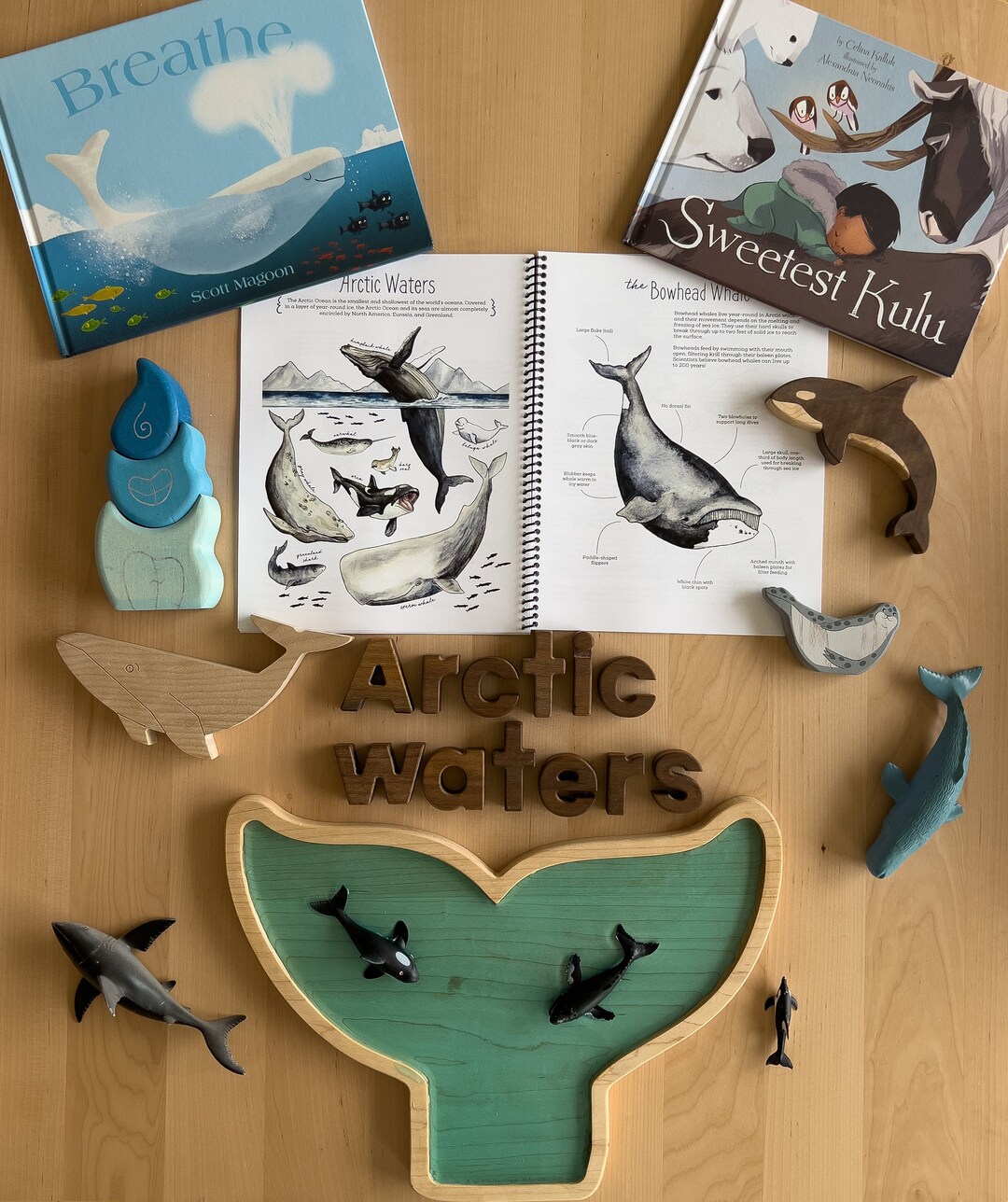 Arctic Ocean Mini Unit - Charlotte Mason Nature Study Homeschool ...