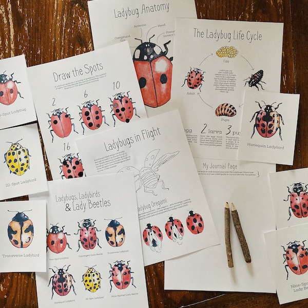 Ladybugs - Etsy
