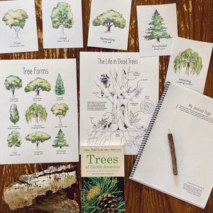 Tree Nature Study BUNDLE - Charlotte Mason, Unit Study - Etsy