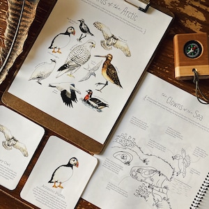 The Arctic Journal - Polar Unit Study, Arctic Animals, Nature Study ...