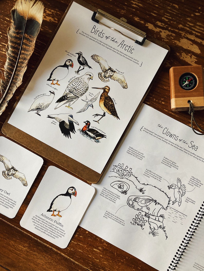 The Arctic Journal - Polar Unit Study, Arctic Animals, Nature Study ...
