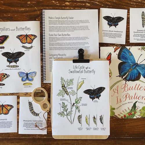 SUMMER Journal Homeschool Printable Charlotte Mason Nature - Etsy