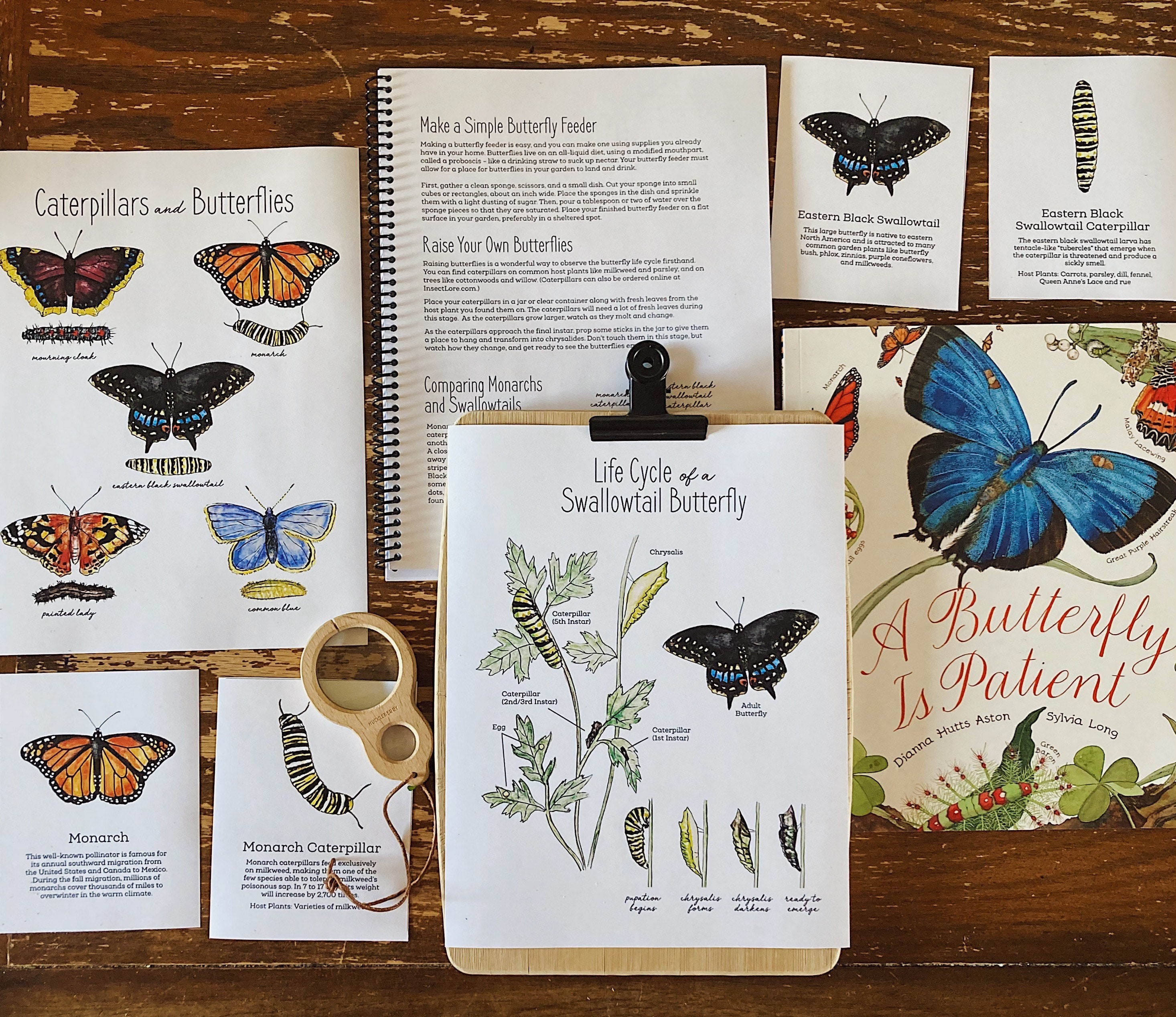 Caterpillars and Butterflies Mini Nature Pack Nature Study - Etsy