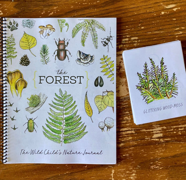 THE FOREST Nature Journal Charlotte Mason Homeschool - Etsy
