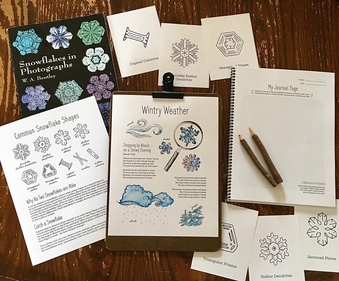 UPDATED Winter Weather Mini Nature Pack - Homeschool Printable ...