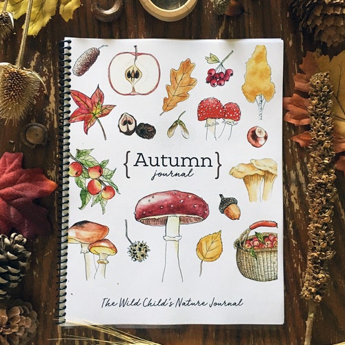 The POND Homeschool Printable Nature Study Charlotte Mason - Etsy
