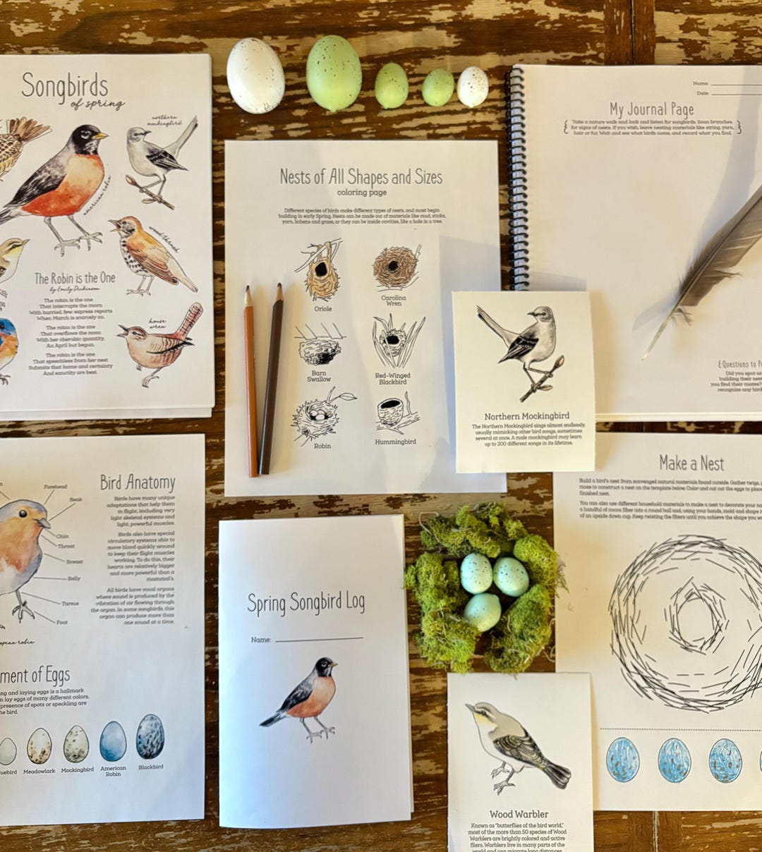 UPDATED Spring Songbirds Mini Nature Study - Nesting Birds Nature Study ...