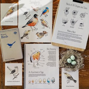 SPRING Journal Homeschool Printable Nature Study Charlotte Mason - Etsy