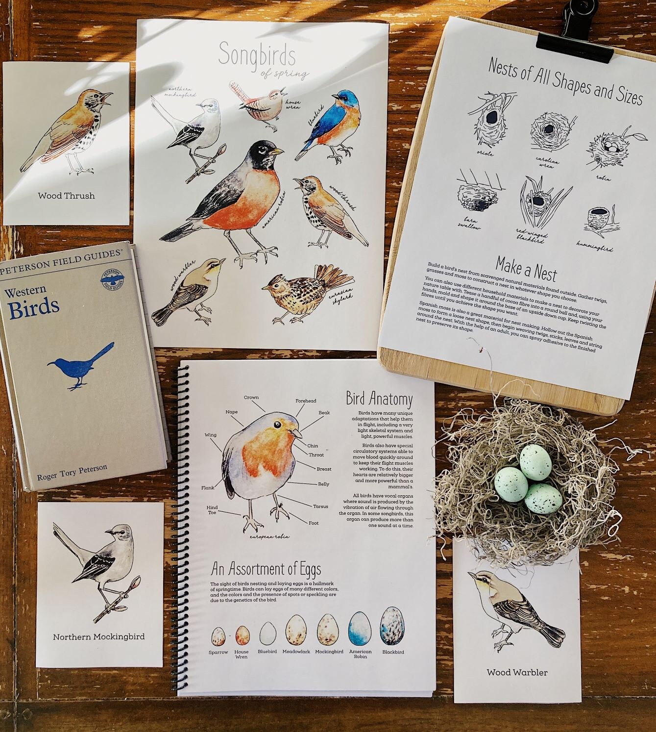 SPRING Journal Homeschool Printable Nature Study Charlotte | Etsy Australia