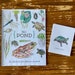 The POND - Homeschool Printable Nature Study Charlotte Mason Frog ...
