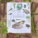 Spring Learning Bundle - Unit Study, Nature Study, Charlotte Mason - Etsy