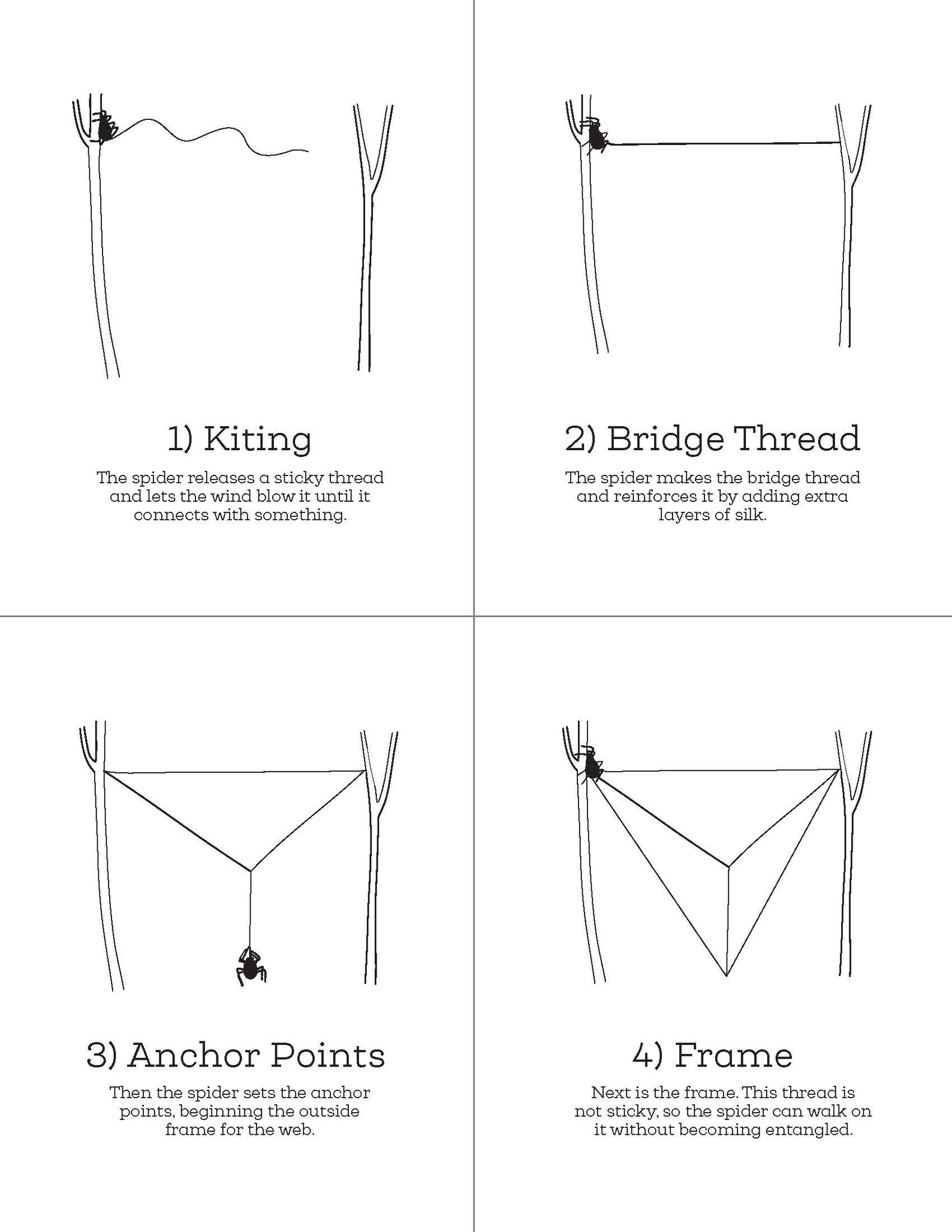 Spinning Spiders Nature Journaling Mini Pack Homeschool | Etsy