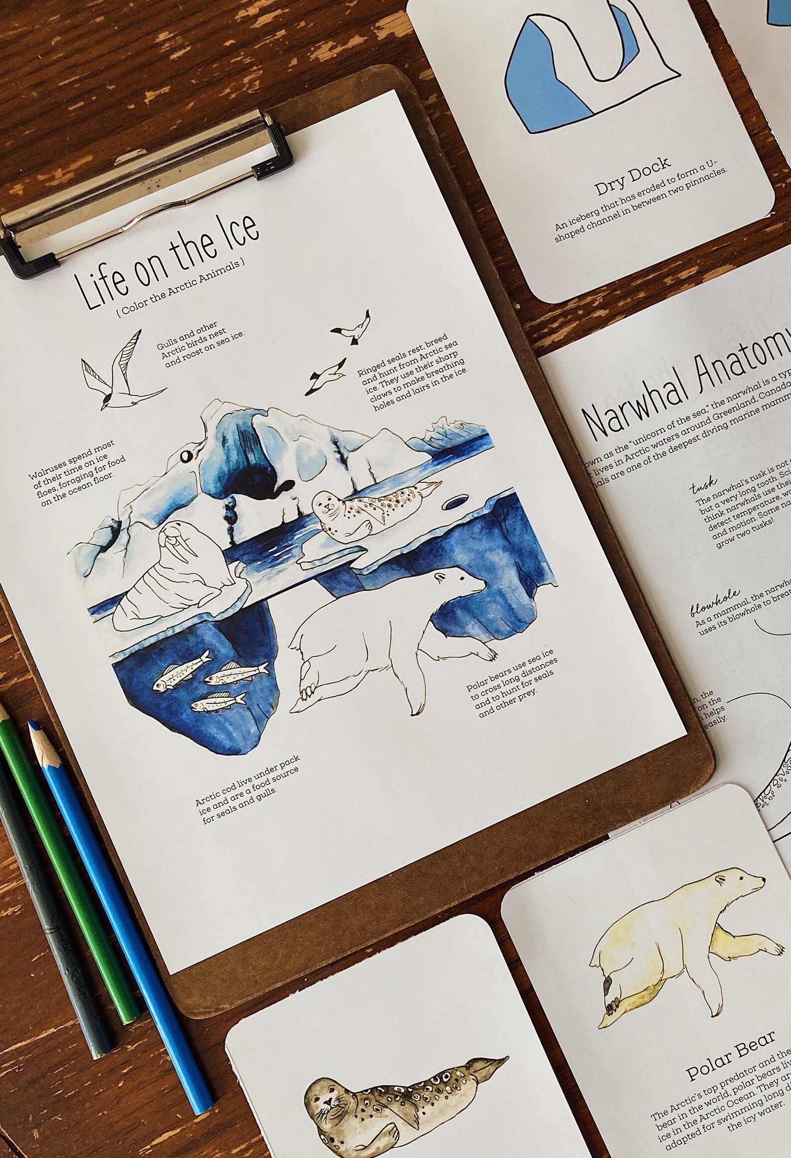 The Arctic Journal - Polar Unit Study, Arctic Animals, Nature Study ...