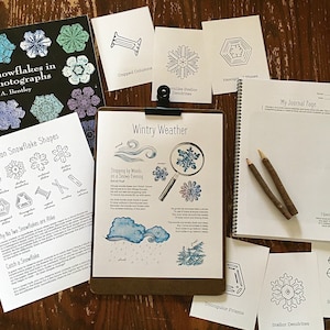 WINTER Journal - Homeschool Printable Charlotte Mason Nature Study - Etsy