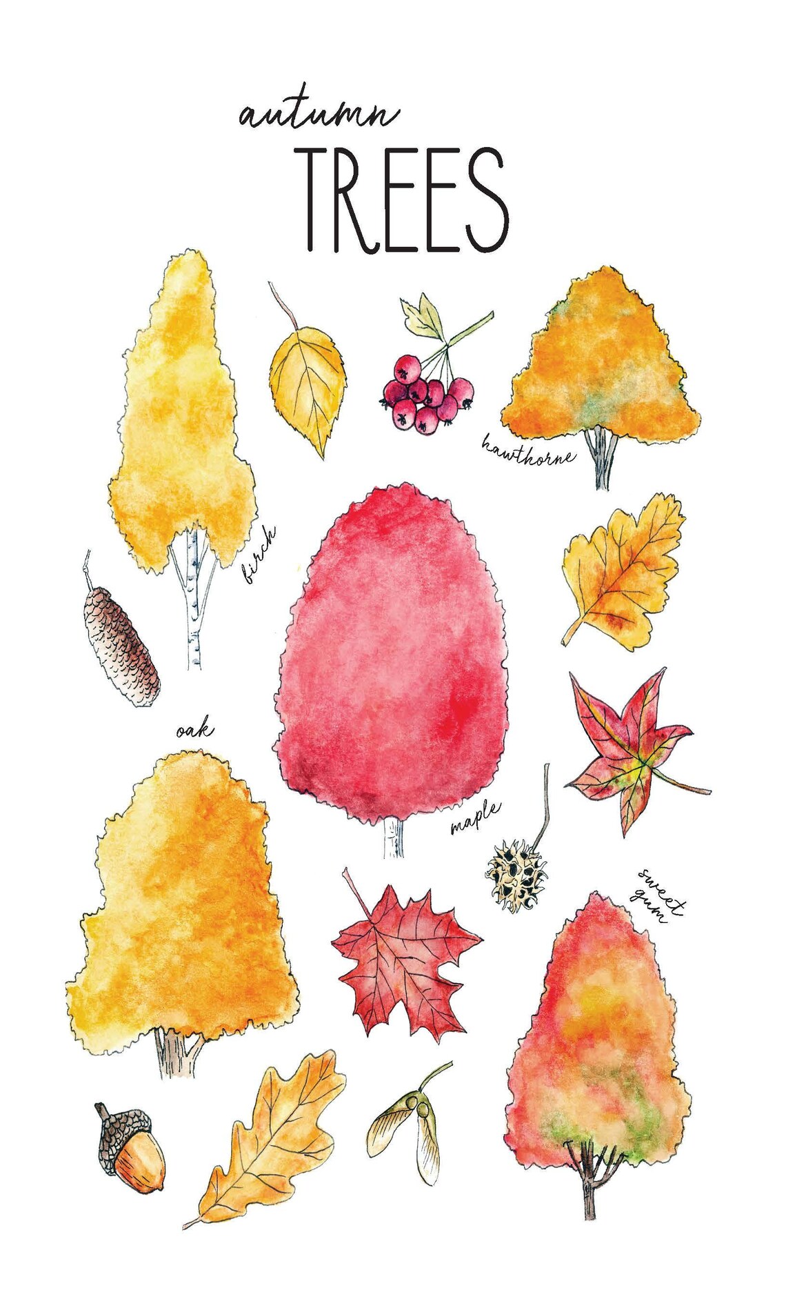 Autumn Trees Nature Journaling Mini Pack Charlotte Mason - Etsy