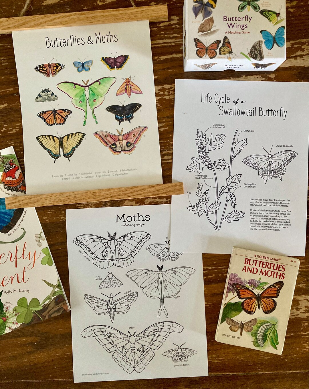 Butterflies + Moths Mini Bundle - Etsy