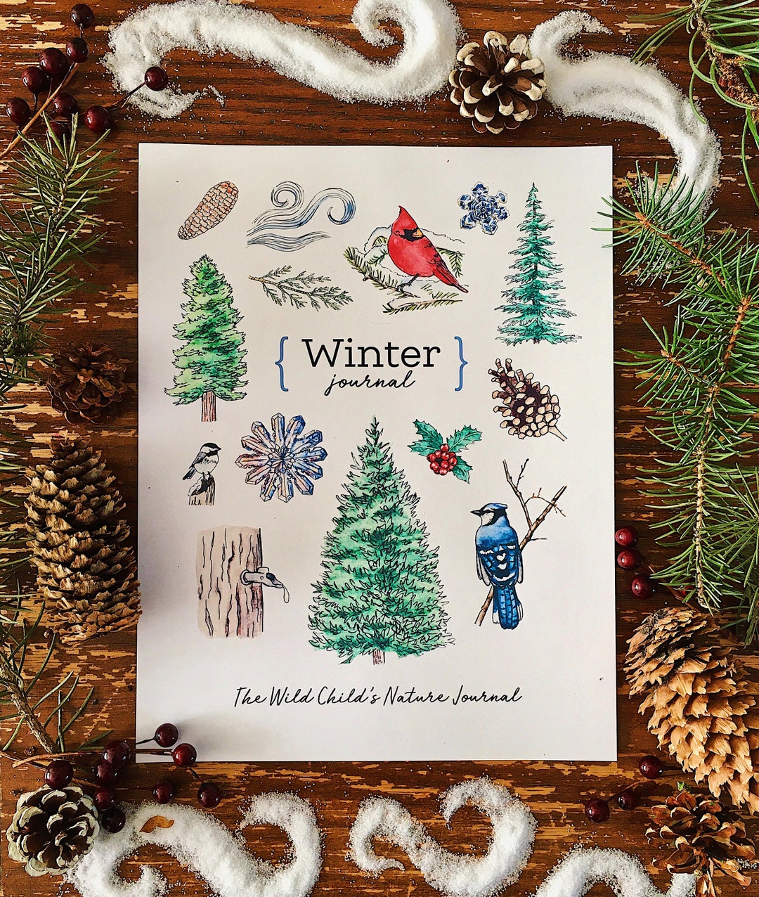 WINTER Journal - Homeschool Printable Charlotte Mason Nature Study - Etsy