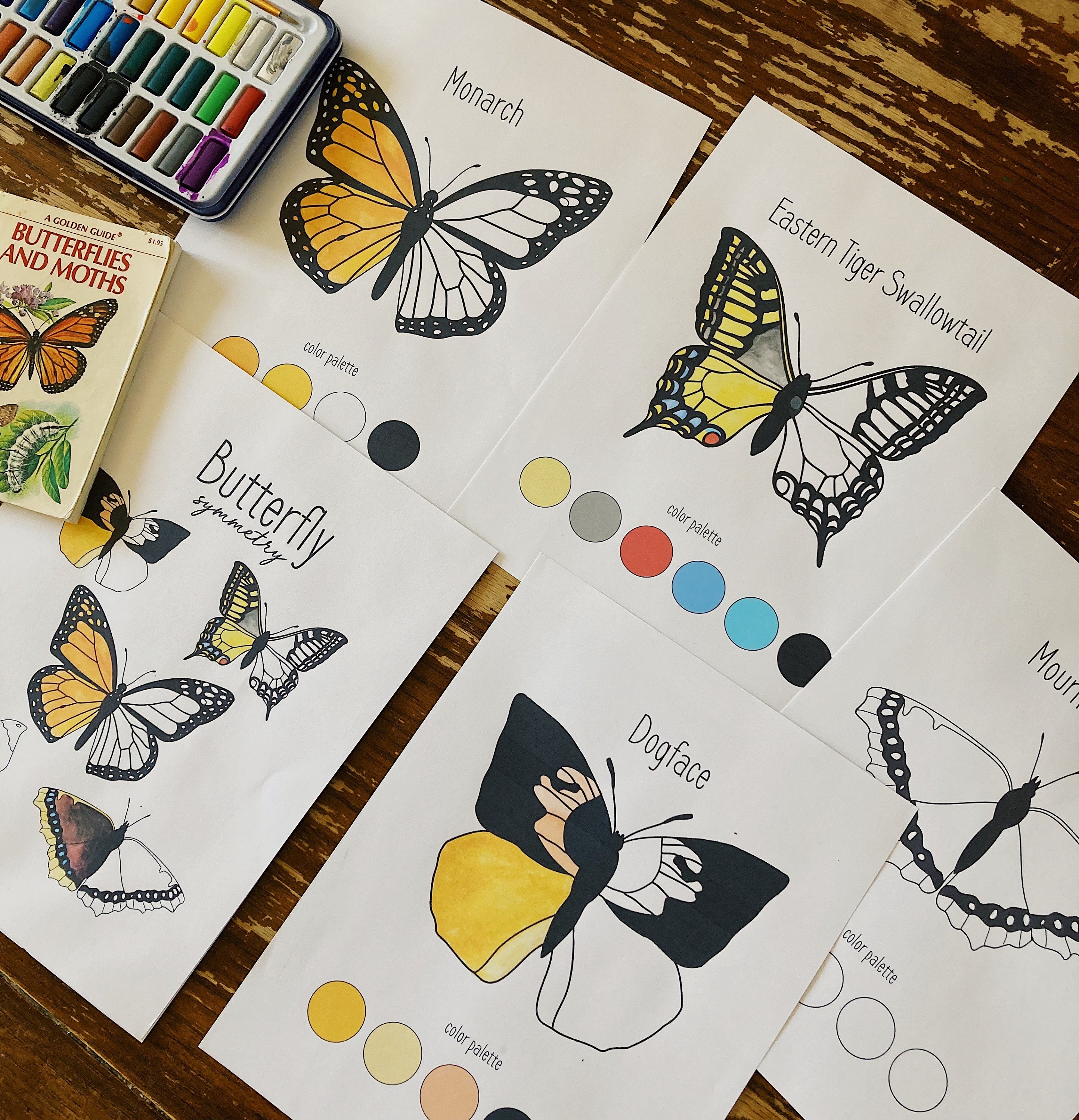 Butterfly Symmetry Art Coloring and Activity Pack - Etsy