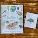 Nature Journal BUNDLE - Etsy