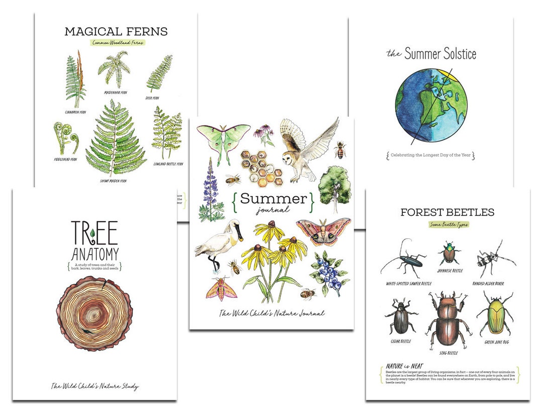 Summer Learning Bundle - Unit Study, Nature Study, Charlotte Mason - Etsy