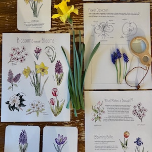 UPDATED SPRING Journal - Homeschool Printable Nature Study Charlotte ...