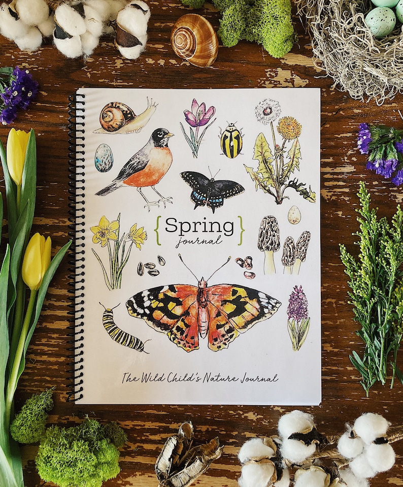 Spring Learning Bundle - Unit Study, Nature Study, Charlotte Mason - Etsy